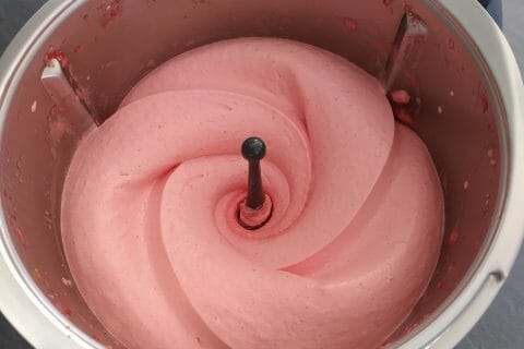 Sorbet aux fruits rouges au Thermomix - Cookomix