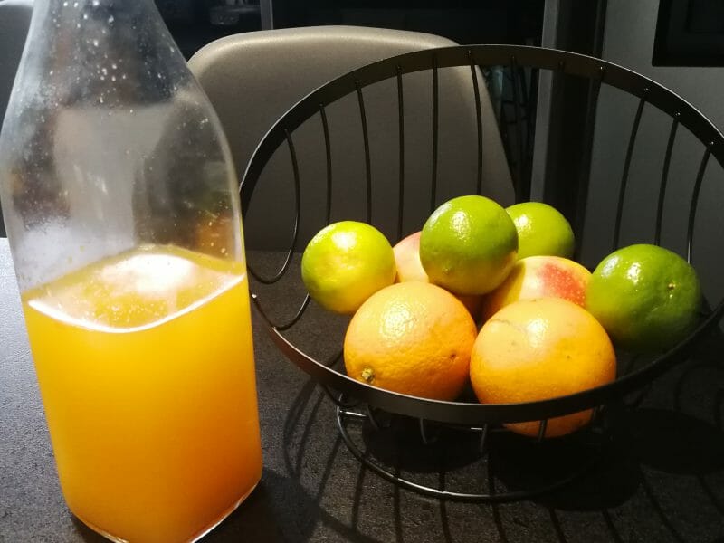 Jus de fruits ACE au Thermomix - Cookomix