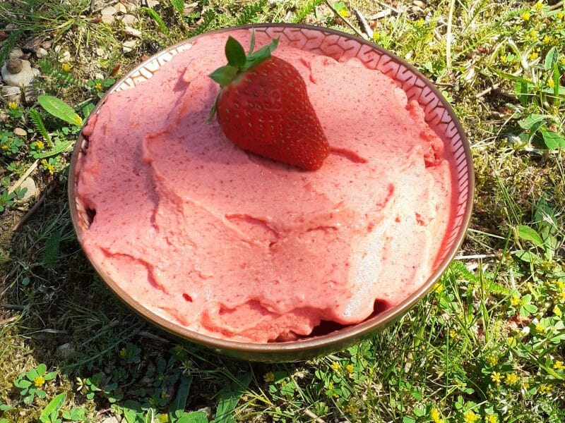 Sorbet aux fruits rouges au Thermomix - Cookomix