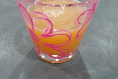 Jus de fruits ACE au Thermomix - Cookomix