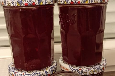 Gelée de groseilles au Thermomix - Cookomix