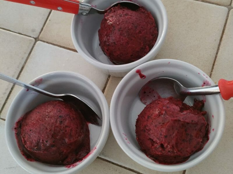 Sorbet Au Cassis Au Thermomix Cookomix