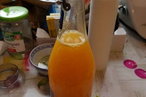 Jus de fruits ACE au Thermomix - Cookomix